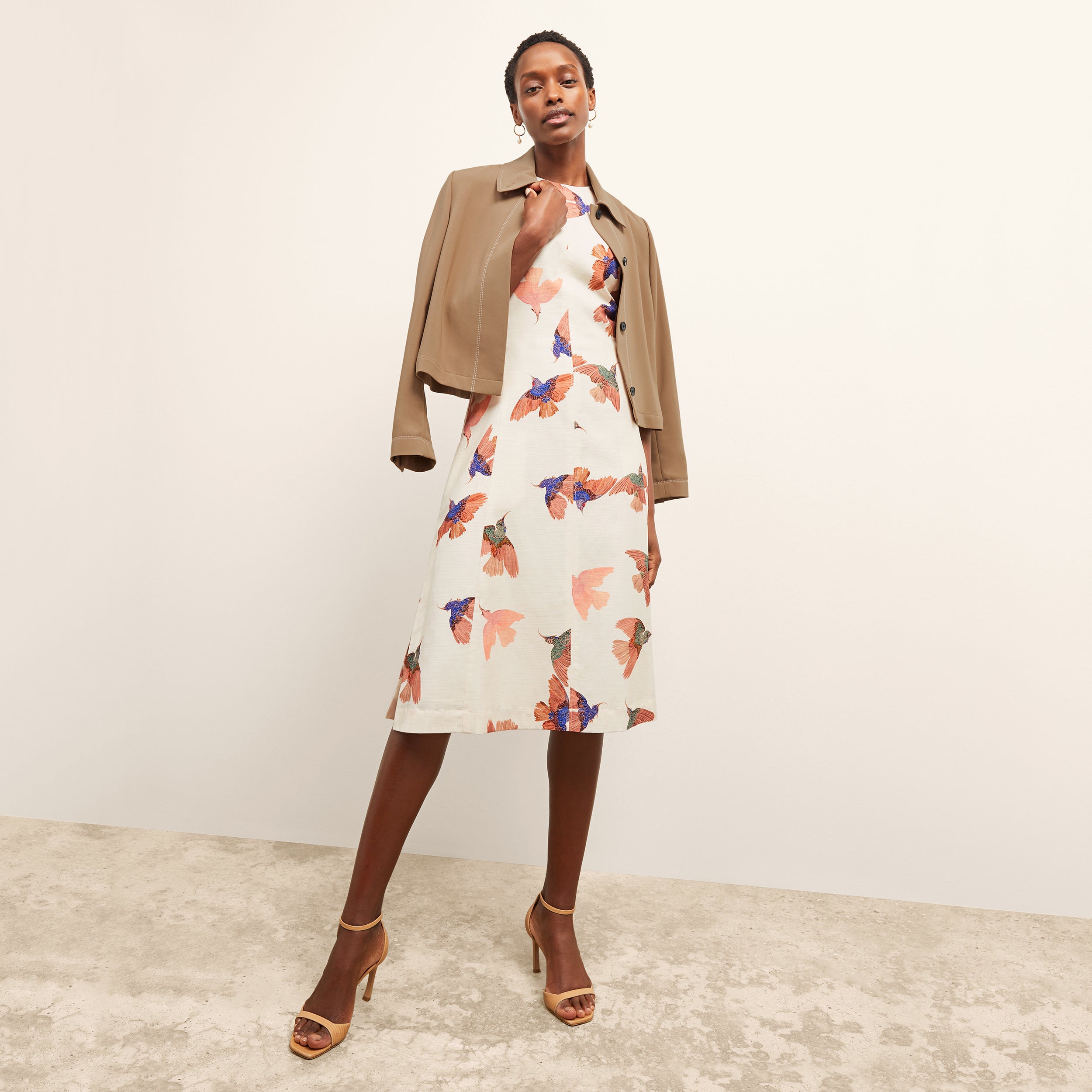 Estela A-Line Dress - Airy Cotton :: Hummingbird Print – M.M.LaFleur